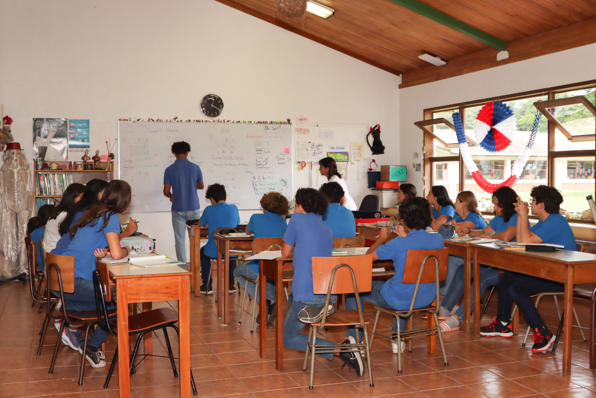 Our School – European School