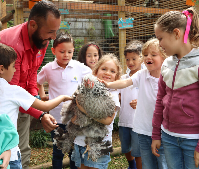 European School